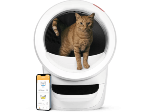 Explore Litter-Robot 4 – Cat Evolution
